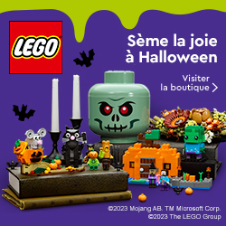 LEGO 40599 Houses of the World 4 : premier visuel officiel - HelloBricks