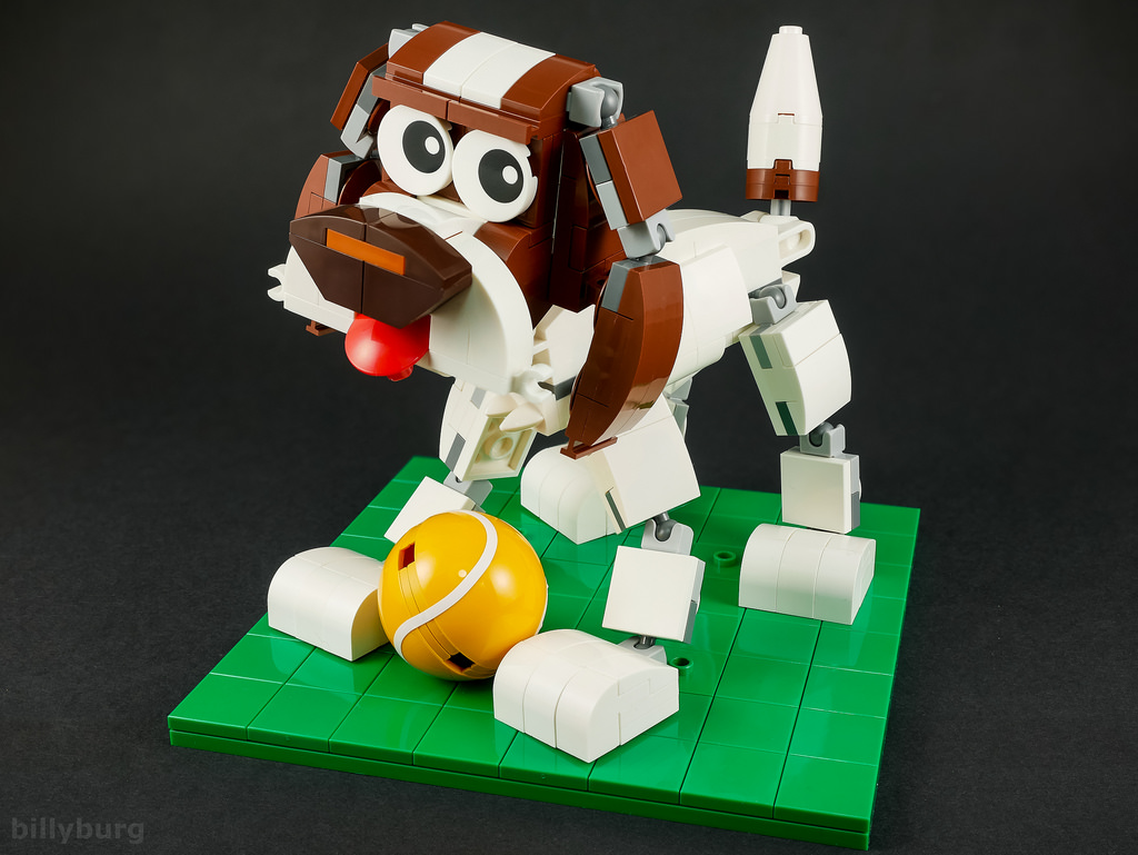 Adorable English Springer Spaniel ! - HelloBricks