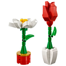 Nouveautés LEGO 2018 : 40197 Wedding Favor Set et 40187 Flowers ...
