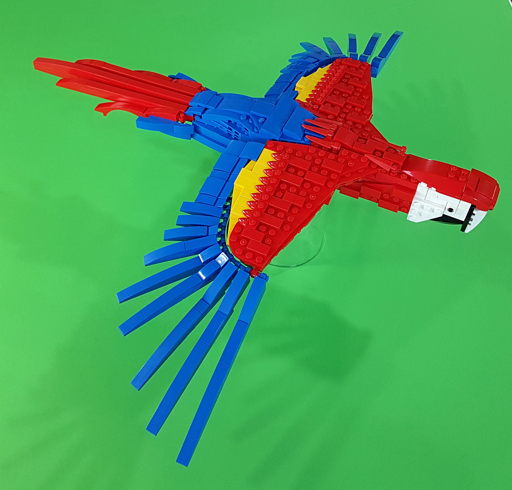 Ara rouge : quand on ne doit utiliser que les cinq couleurs primaires ...