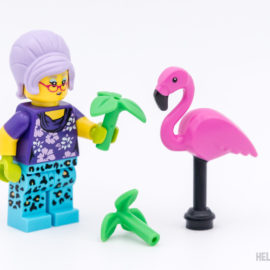 REVIEW LEGO 71025 Collectible Minifigures Series 19 - HelloBricks