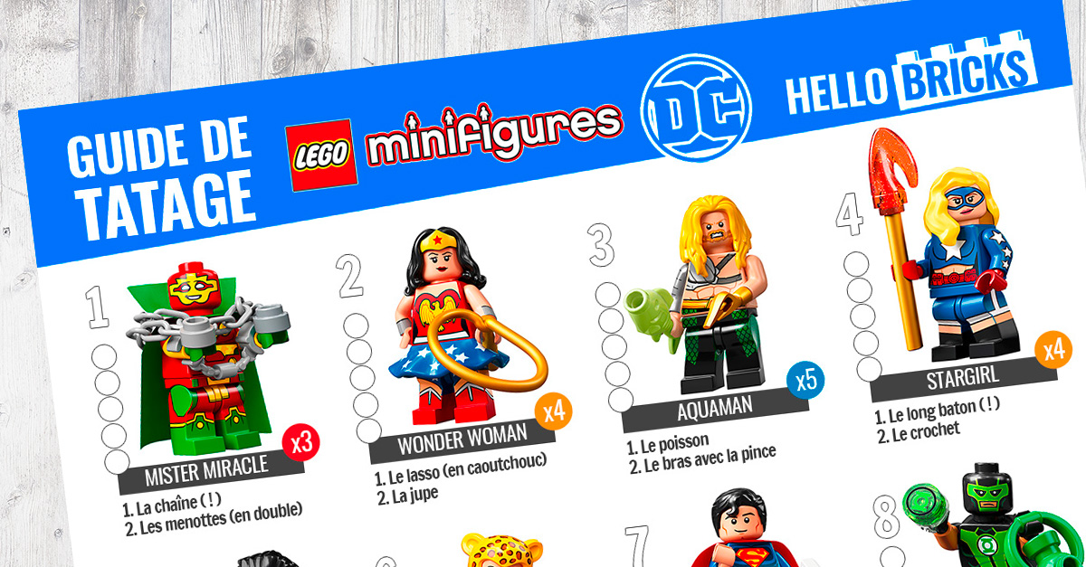 LEGO 71026 DC Comics Collectible Minifigures Series : le guide de ...