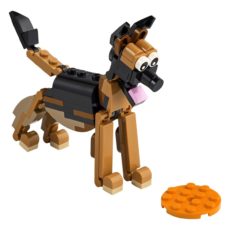 Polybags LEGO 2021 : premiers visuels officiels - HelloBricks