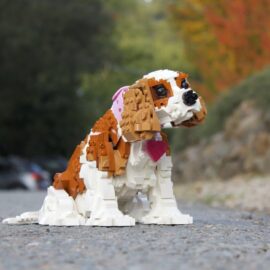 Cavalier King Charles Spaniels - HelloBricks