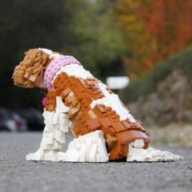 Cavalier King Charles Spaniels - HelloBricks