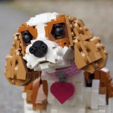 Cavalier King Charles Spaniels - HelloBricks