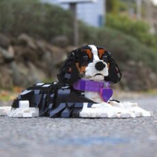Cavalier King Charles Spaniels - HelloBricks