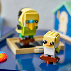 Nouveautés LEGO BrickHeadz Pets 40442 Goldfish & 40443 Budgie - HelloBricks