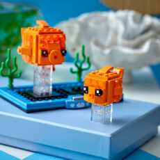 Nouveautés LEGO BrickHeadz Pets 40442 Goldfish & 40443 Budgie - HelloBricks