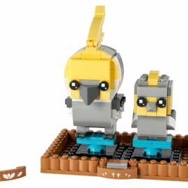 Nouveautés LEGO BrickHeadz 40480 Ginger Tabby, 40481 Cockatiel & 40482 ...