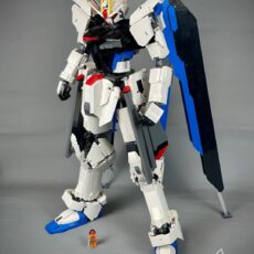 Freedom Gundam vs. Cardboard Gundam - HelloBricks
