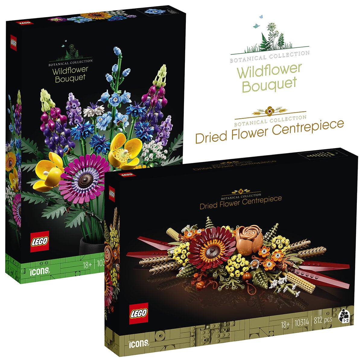LEGO Icons Botanical Collection 2023 : les nouvelles fleurs sont ...
