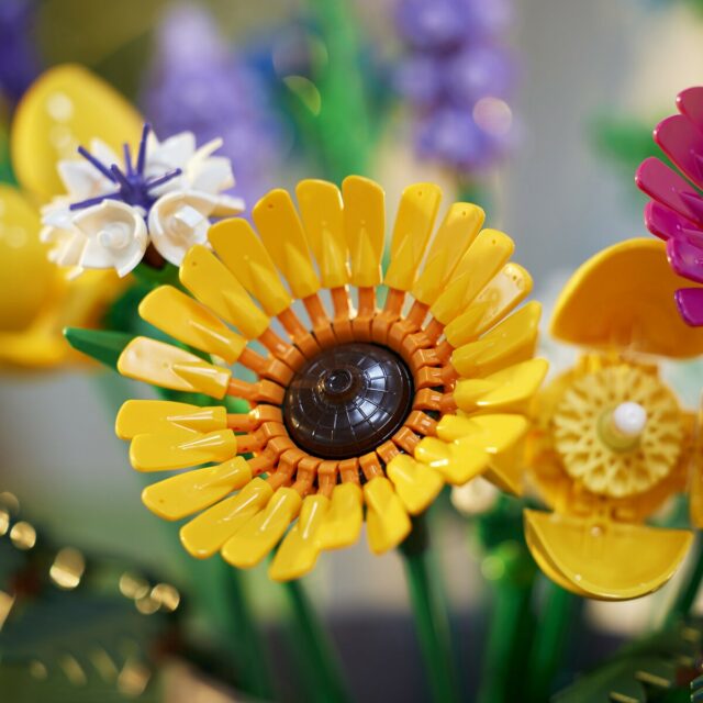 LEGO Icons Botanical Collection 2023 : les nouvelles fleurs sont ...