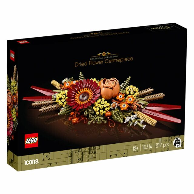 Nouveautés LEGO Icons Botanical Collection 2023 : 10313 Wildflower ...