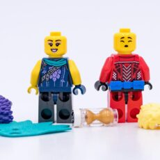 Review LEGO DREAMZzz 71476 Zoey and Zian the Cat-Owl - HelloBricks