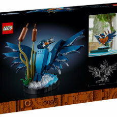 Nouveauté LEGO Icons 10331 Kingfisher Bird : le set est en ligne sur le ...
