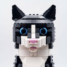 Review LEGO Ideas 21349 Tuxedo Cat - HelloBricks